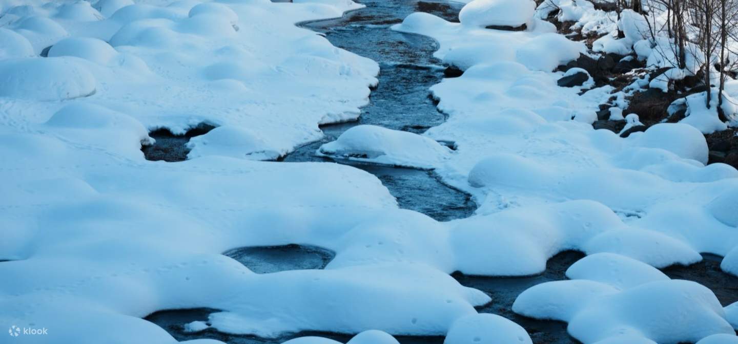 [Winter Limited, departure from Sapporo] Jozankei snow scenery tour × ...
